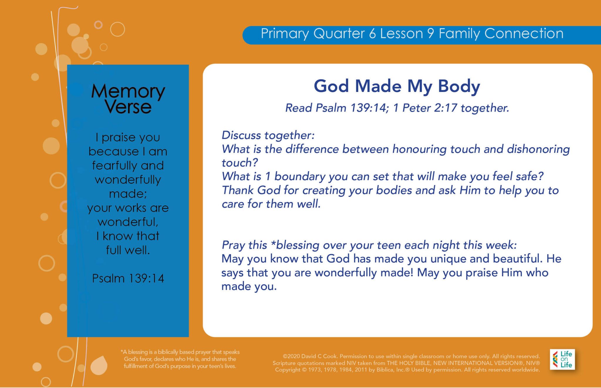 God Made My Body | Life on Life | Sunday School Curriculum for Kids